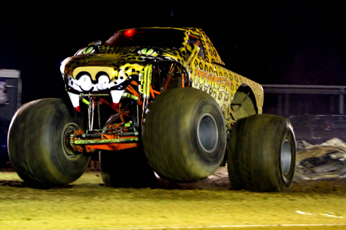 Predator Racing